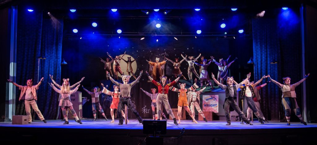 Andrew Lloyd Webber's CATS Creates Memories at TUTS 2024 - On The List