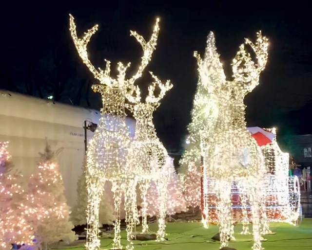 Illuminate The Season with These Festive Displays of Holiday Lights ...