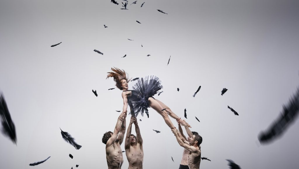 Wade into the Magic of Circa's Duck Pond presented by DanceHouse & The ...